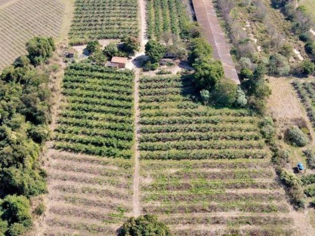Sítio em Parque Residencial Indaiá, Indaiatuba/SP de 0m² 2 quartos à venda por R$ 4.800.000,00