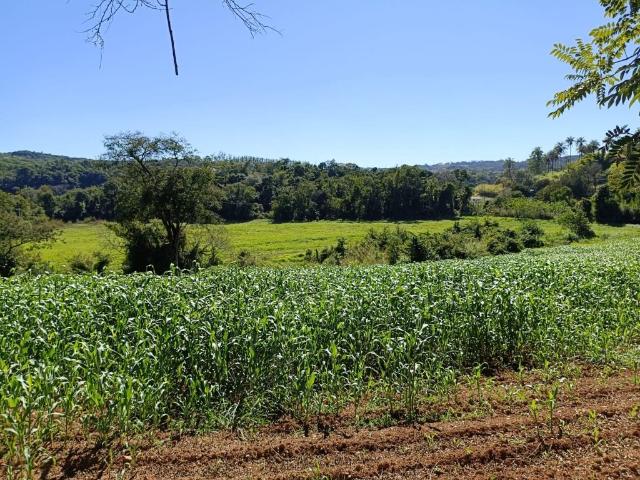 Sítio em, Pedreira/SP de 0m² à venda por R$ 549.000,00