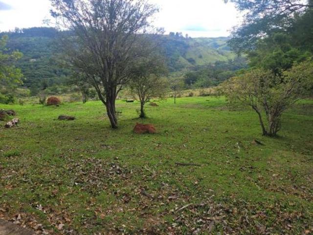 Sítio em Pedreira/SP
