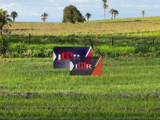Sitio em Pereira Barreto SP