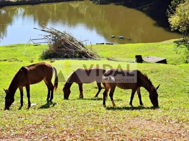 SÍTIO EM PIEDADE COM 60.500m² À VENDA POR R$1.500.000,00