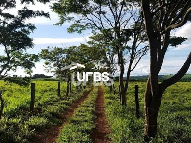 Sítio em Piracanjuba