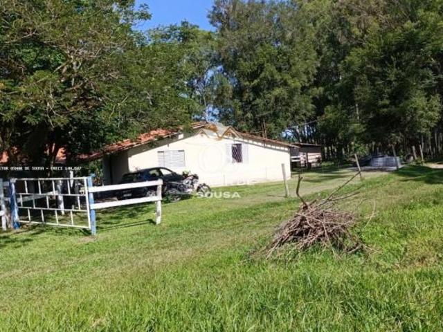 Sítio em Piracicaba de 8,5 Alqueires com casa, 02 lagos e etc