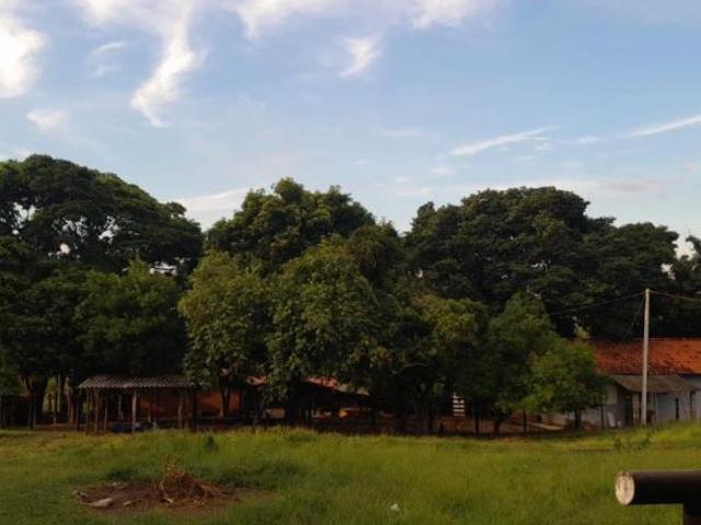 Sítio em Porto Feliz