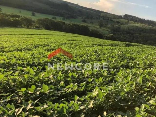 Sítio em Praça da Bandeira Área Rural de Itapetininga Itapetininga/SP