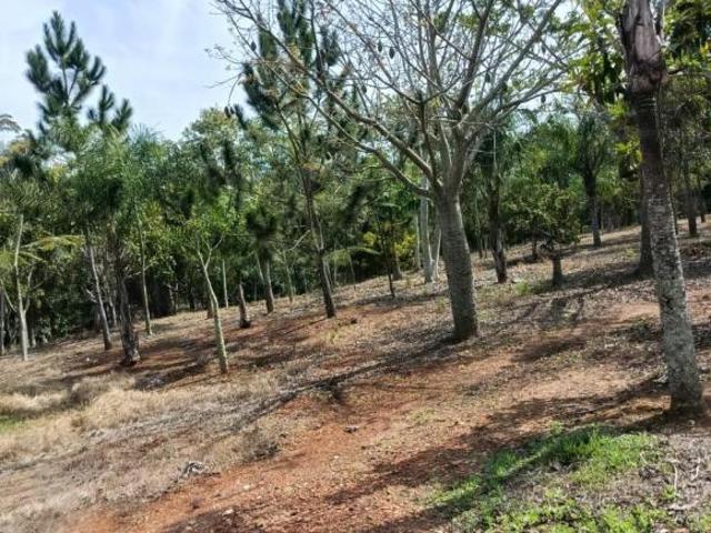 Sitio em quadra 10 alqueires Rio no fundo Valor 2.200,000 mil Excelente localização
