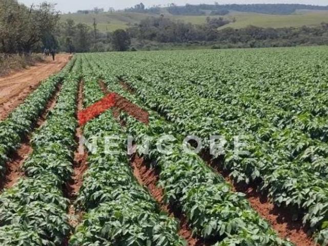 Sítio em Rua Saldanha Marinho Centro Itapetininga/SP
