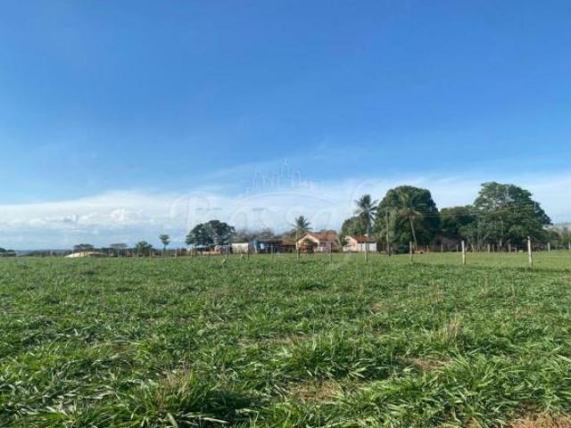 Sítio em Rubinéia SP