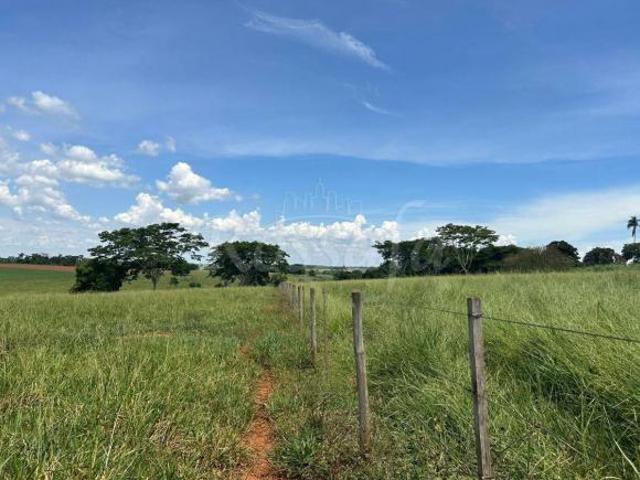 Sítio em Santa Fé do Sul/SP