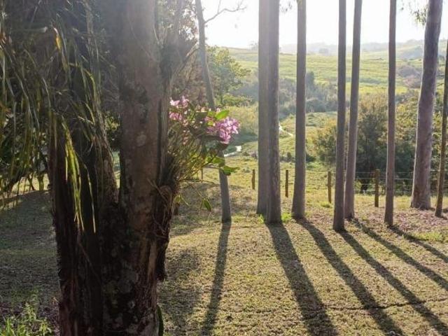 Sítio em Santo Antonio do Sapezeiro Santa Bárbara D&apos oeste