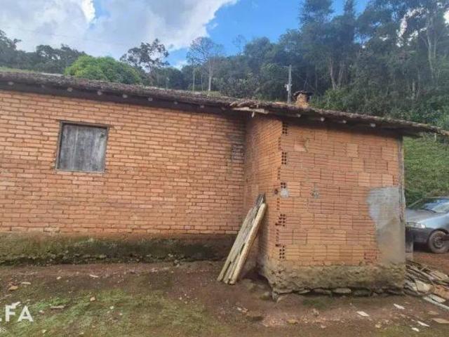 Sítio Encantador com Pomar, Solo Fértil e Construção Rústica em Antônio Carlo