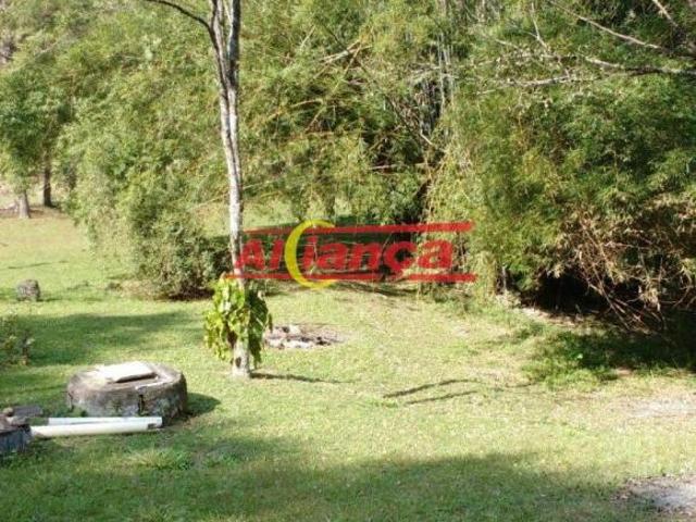 SITIO ESTRELA DE DAVI CAMPININHA ATIBAIA