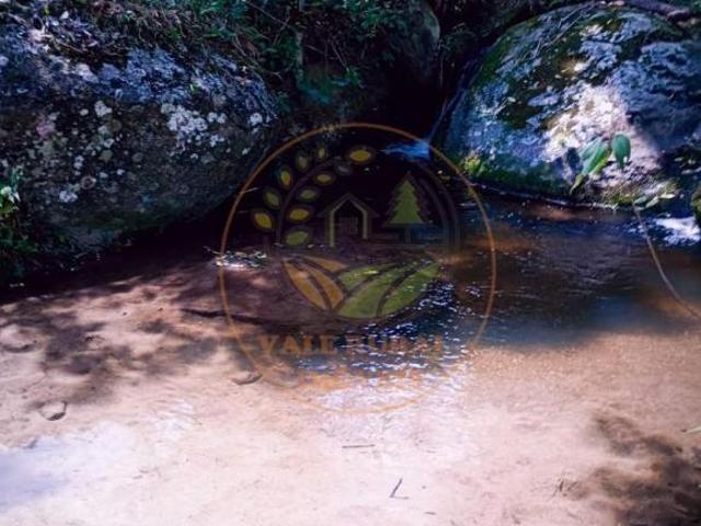 SITIO EXCELENTE COM 20 ALQUEIRES EM CAMPOS NOVOS DE CUNHA SP ST00234