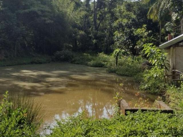 Sítio Exclusivo de 3 Hectares com Lago e Vista para Montanhas em São Luiz do Paraitinga/SP