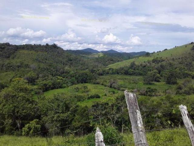 SÍTIO FAZENDINHA EM MIRACATU COM ÁREA COMECIAL PARA A RODOVIA, SÍTIO DE 100 HEC. = 1.016.400 m²