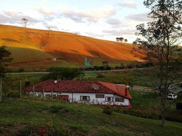 SÍTIO FORMADO NO ASFALTO EM SÃO LUIZ DO PARAITINGA SP