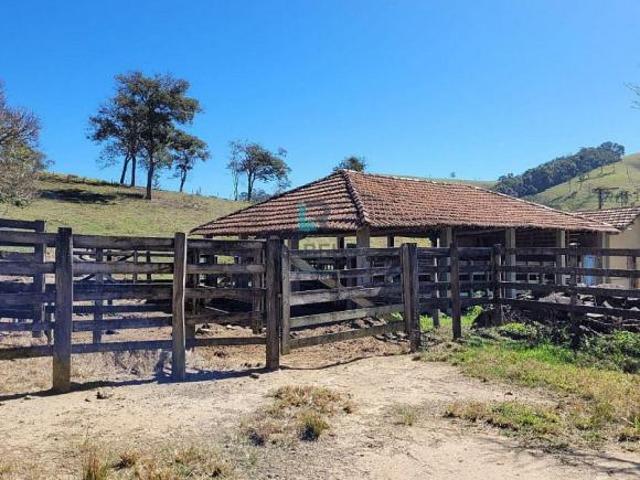 SÍTIO FORMADO COM ESTRUTURA PARA LEITE OU CORTE EM LORENA SP