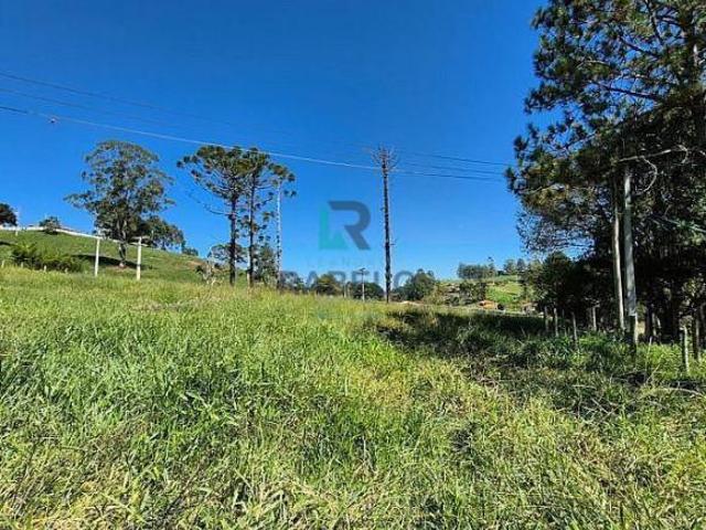 SÍTIO FORMADO COM FÁCIL ACESSO EM LAGOINHA SP