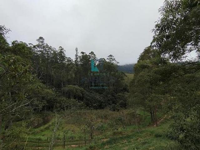 SÍTIO FORMADO RICO EM ÁGUA E PASTO EM PIQUETE SP