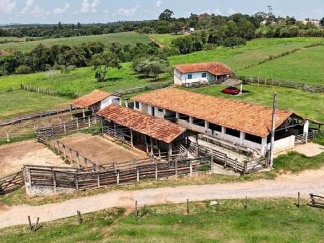 Sítio Granja 23,8 Alqueires, Formada em Pasto Boa Topografia Terra de Lavoura Ribeirão bom de ág