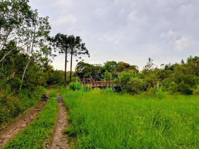 Sitio, Jardim das Palmeiras, Juquitiba, SP