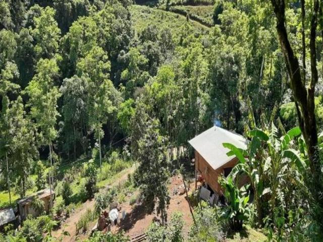 Sitio, Linha Pirajá Baixa, Nova Petrópolis, RS