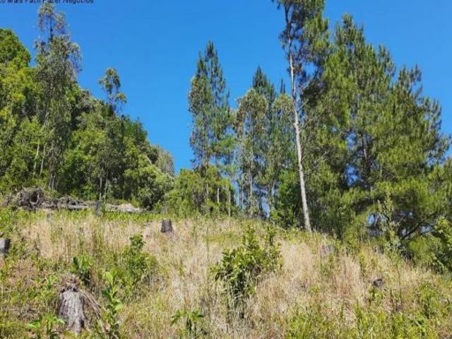 Sitio, Linha Pirajá Baixa, Nova Petrópolis, RS
