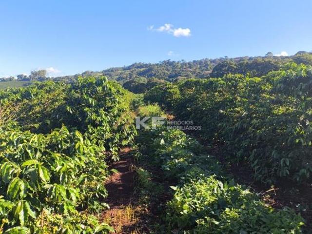 Sítio Localizado em Monte Santo de Minas/MG