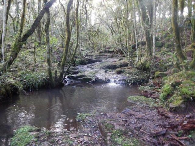 Sitio localizado em São Francisco de Paula