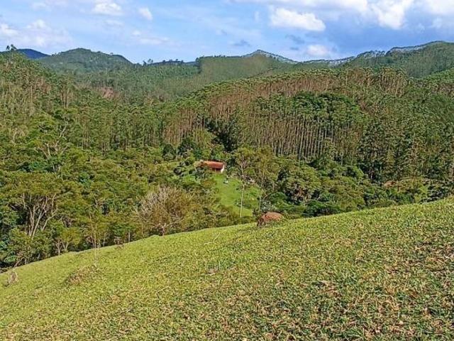Sitio maravilhoso com muita água,vista maravilhosa