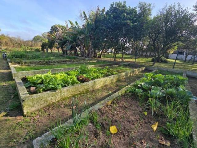 Sitio na Restinga com 2 casas e ótima oportunidade para investimento