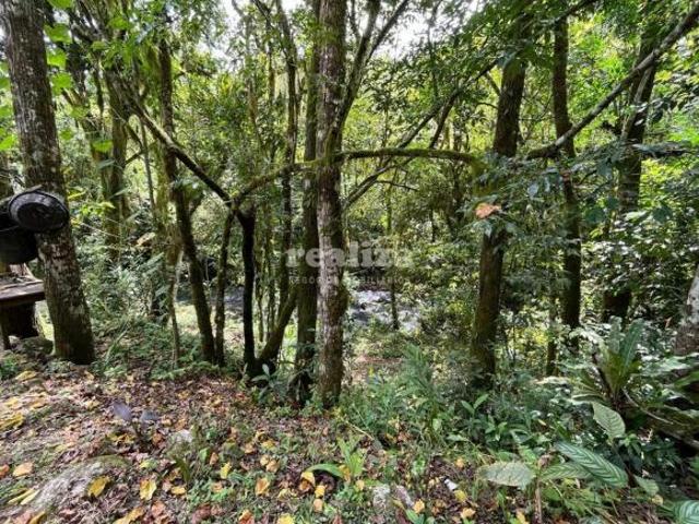 SÍTIO NO CANASTRA EM CANELA