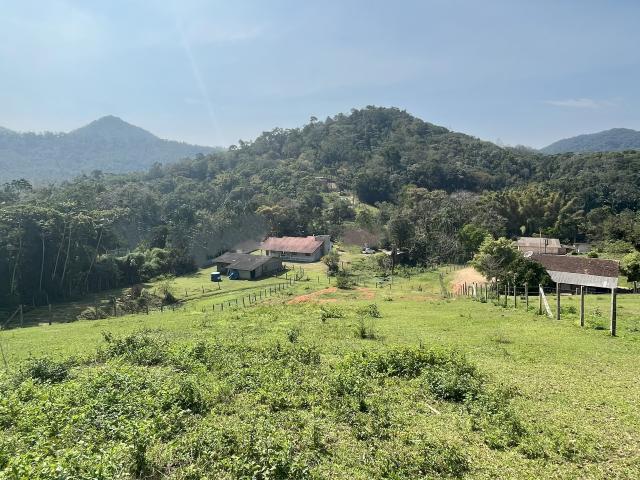 Sítio no Encano Central, Indaial Com poço, pastagem, plantação de eucaliptos, áreas íngremes, sem edificações