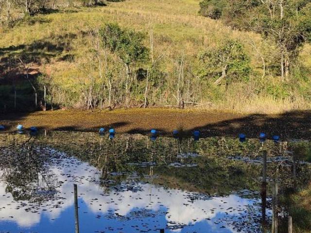 Sítio para gado,lazer,represa.