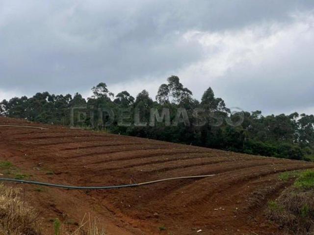 Sitio para investimento, plantação ou loteamento!