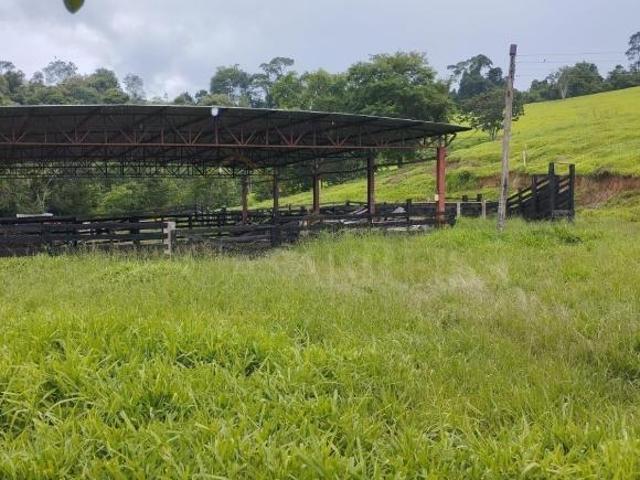 Sítio para Pecuária Próximo a Rodovia