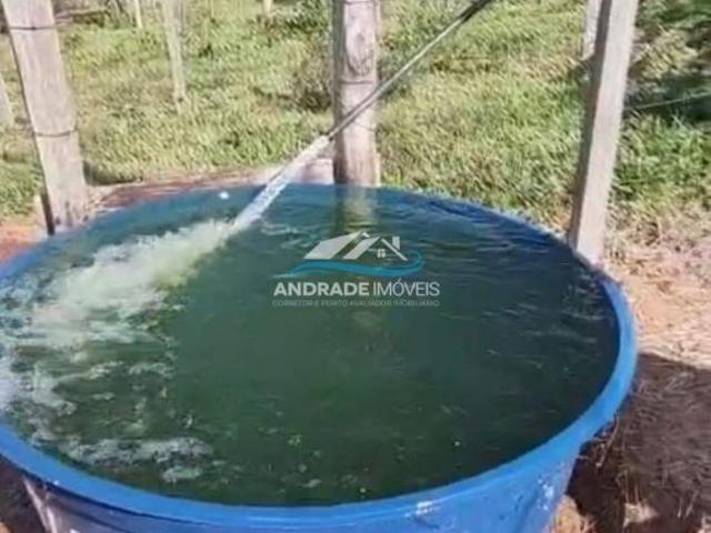 Sítio para plantio de Café em Caconde SP