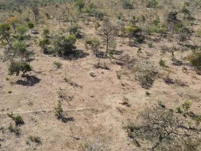 SITIO PARA PLANTIO OU PASTO ENTRE PATROCÍNIO E COROMANDEL