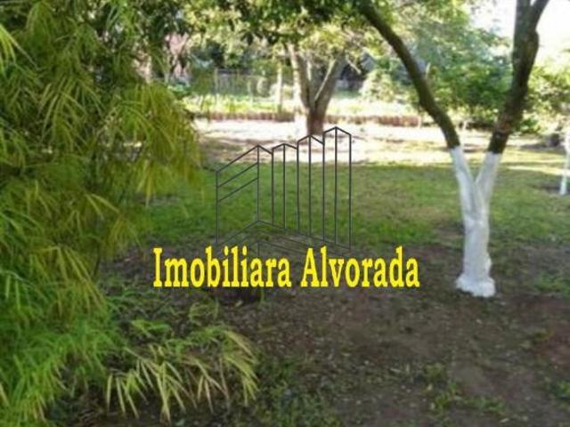 Sítio para venda e aluguel em Alvorada