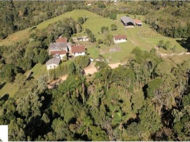 Sítio para venda e aluguel em Quississana, São José dos Pinh