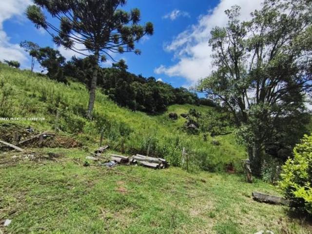 Sítio para Venda em Munhoz, Centro, 3 dormitórios, 1 banheiro, 2 vagas