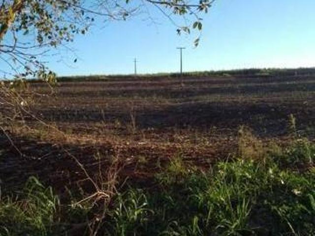 Sítio para venda em Mandaguaçu