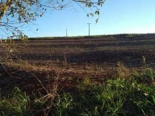 Sítio para venda em Mandaguaçu