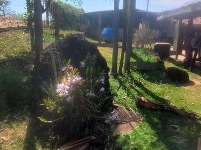 Sítio para venda em Marialva