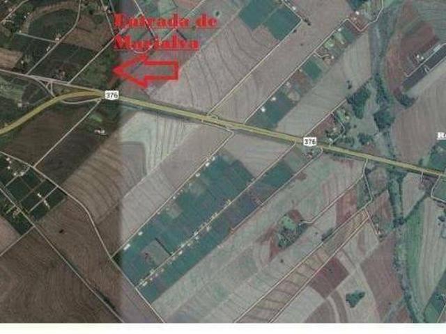 Sítio para venda em Marialva