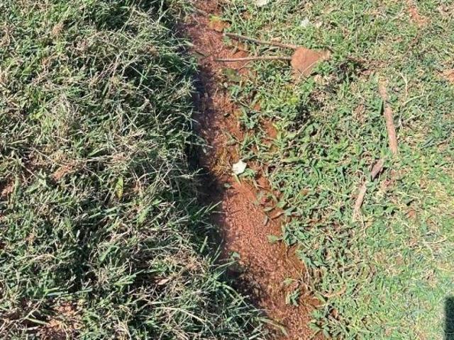 Sítio para venda em Marília