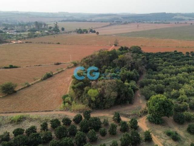 Sítio para venda em Martim Francisco, Mogi Mirim