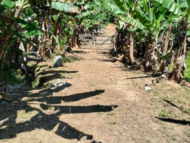 Sítio para Venda em Miracatu, AREA RURAL, 3 dormitórios, 1 banheiro, 2 vagas