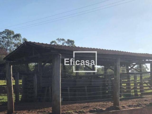 Sítio para venda em Mirassol