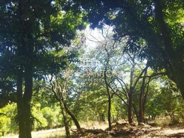 Sítio para venda em Mococa